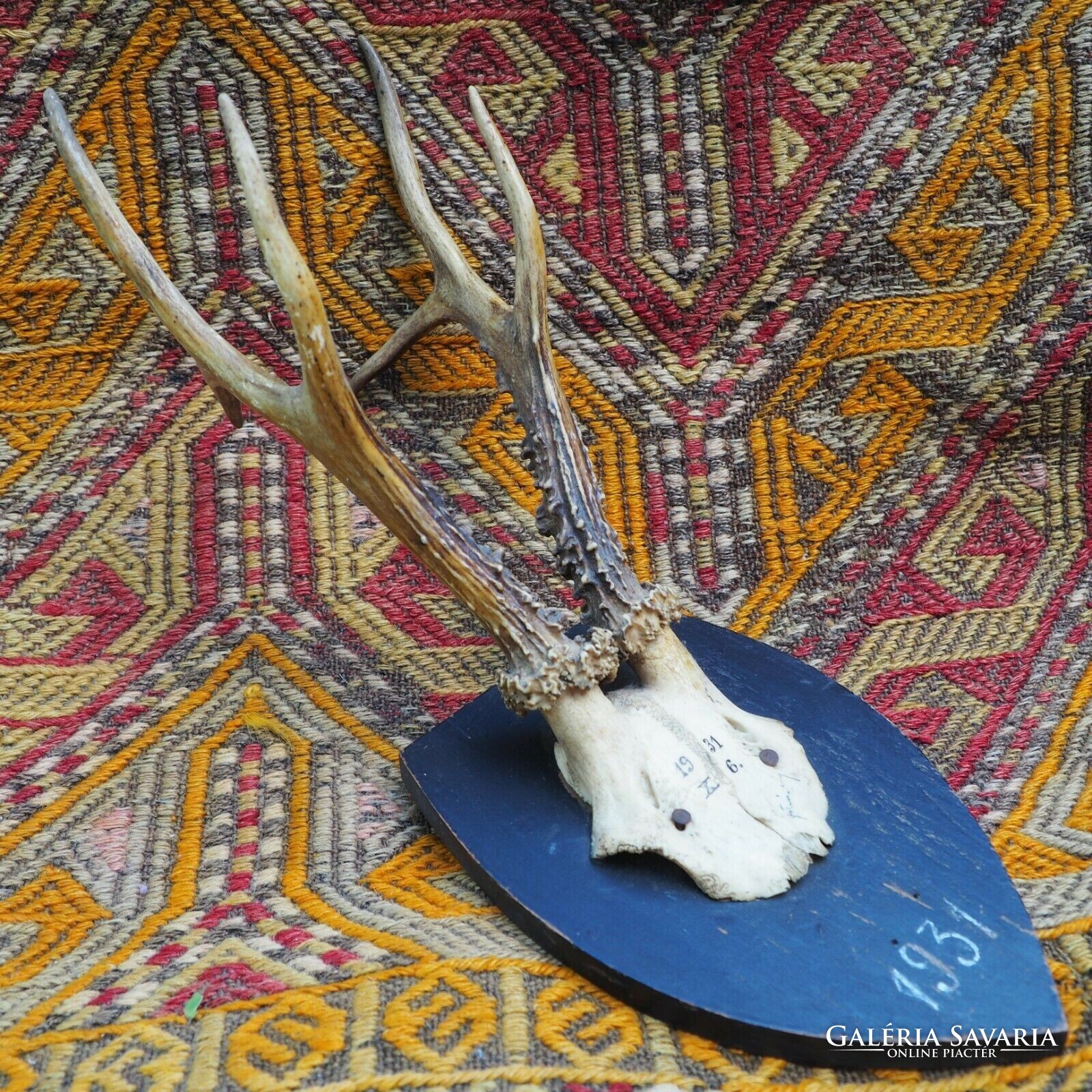 1931 Szignózott Vadász Trófea őz Szarvas Agancs Koponya Faragott Tölgy ...