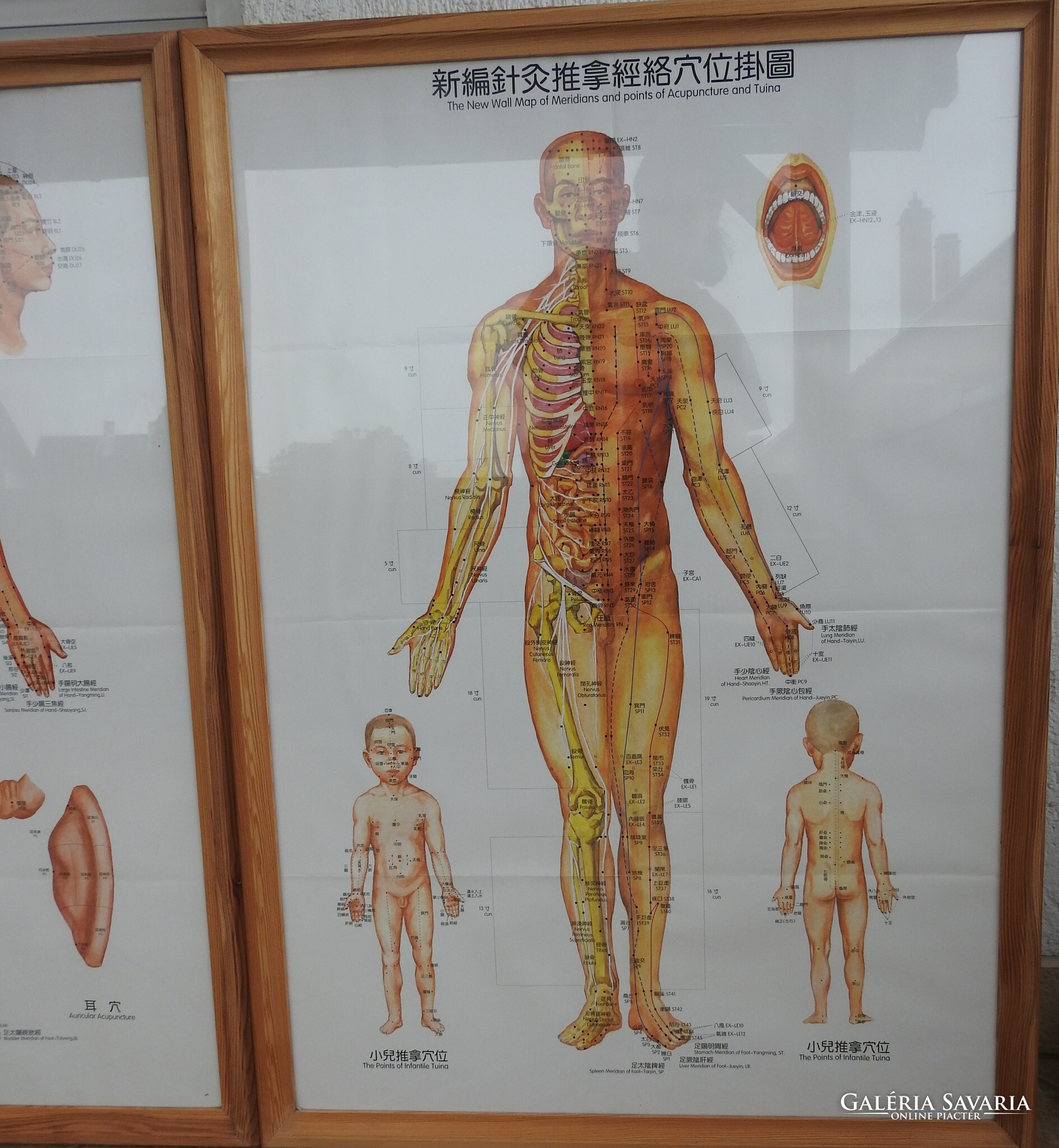 The new wall map of meridians and points of acupuncture and tuina ...
