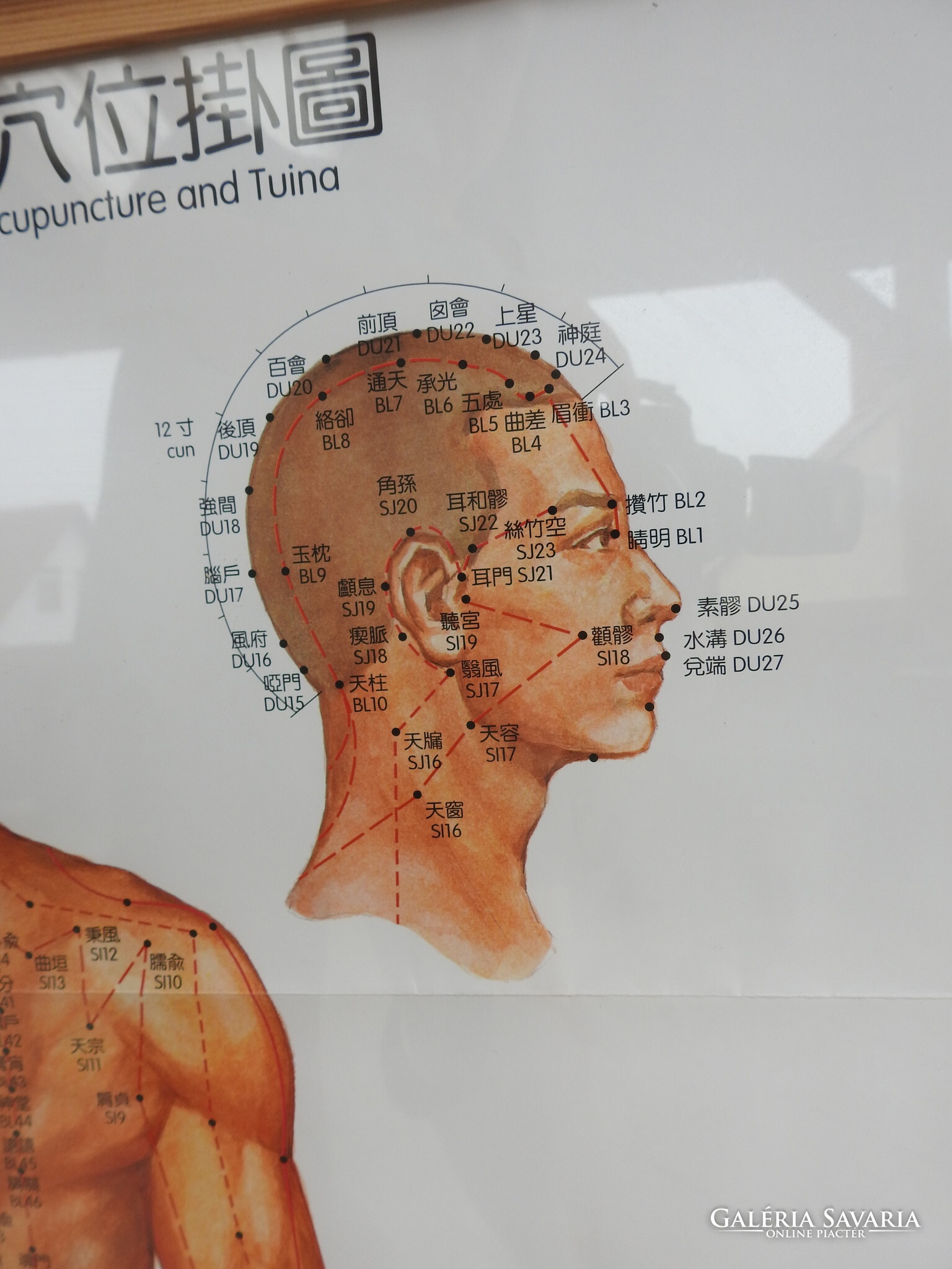 The new wall map of meridians and points of acupuncture and tuina ...