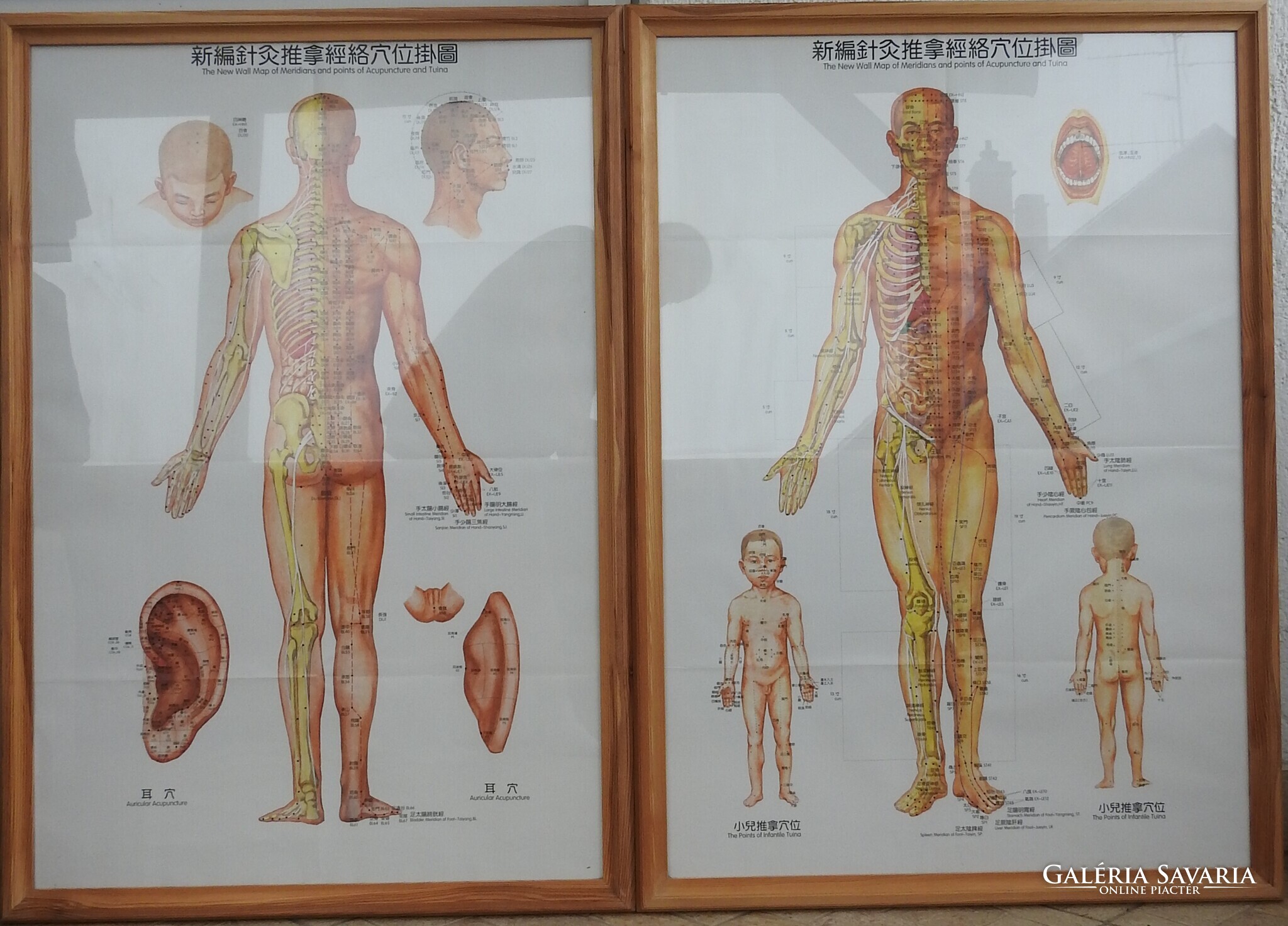 The new wall map of meridians and points of acupuncture and tuina ...
