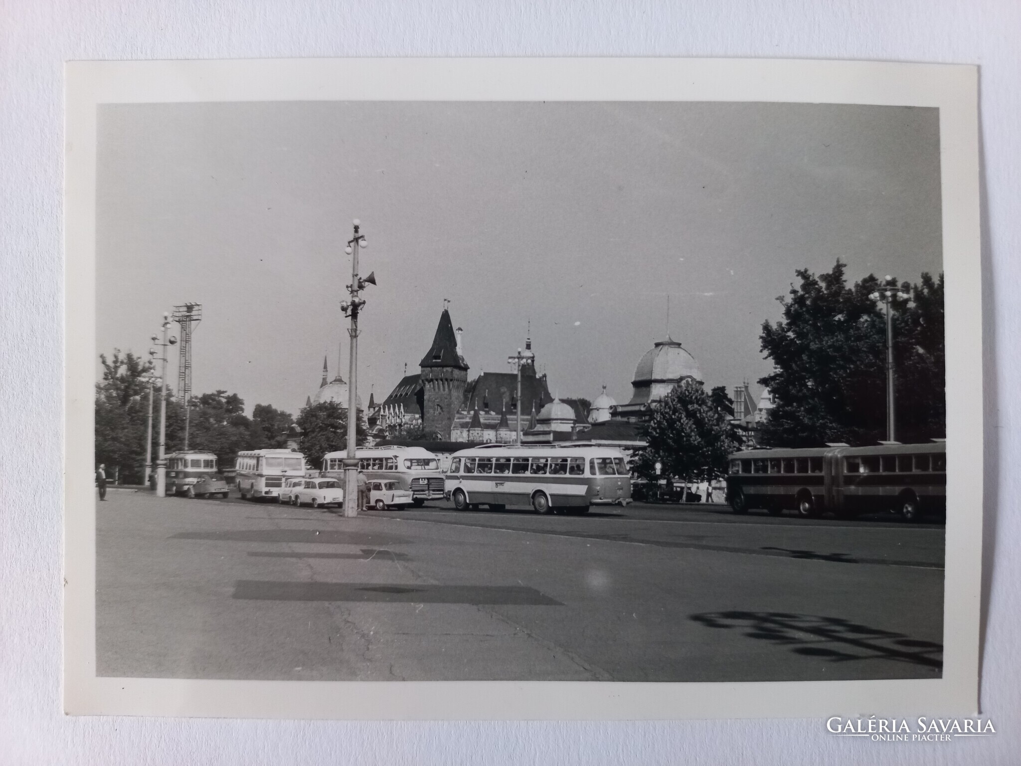 Old photo of Budapest Ikarus buses in the city park - mid-1960s ...