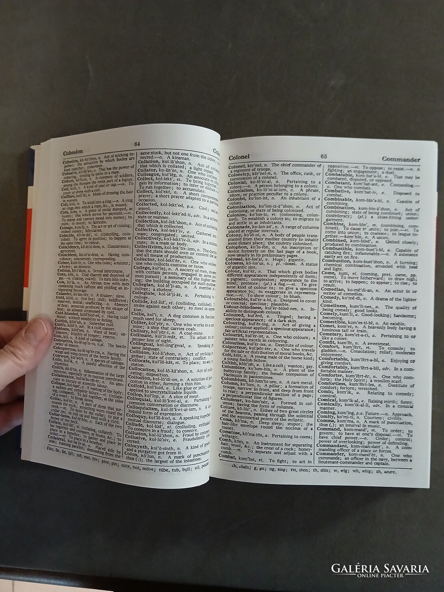 Concise Family Dictionary with over 30,000 entries - angol szótár ...