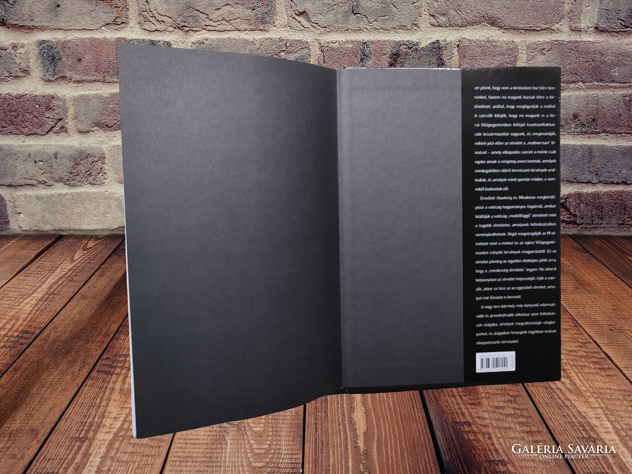 Stephen Hawking - A nagy terv - Könyv | Galéria Savaria online piactér ...