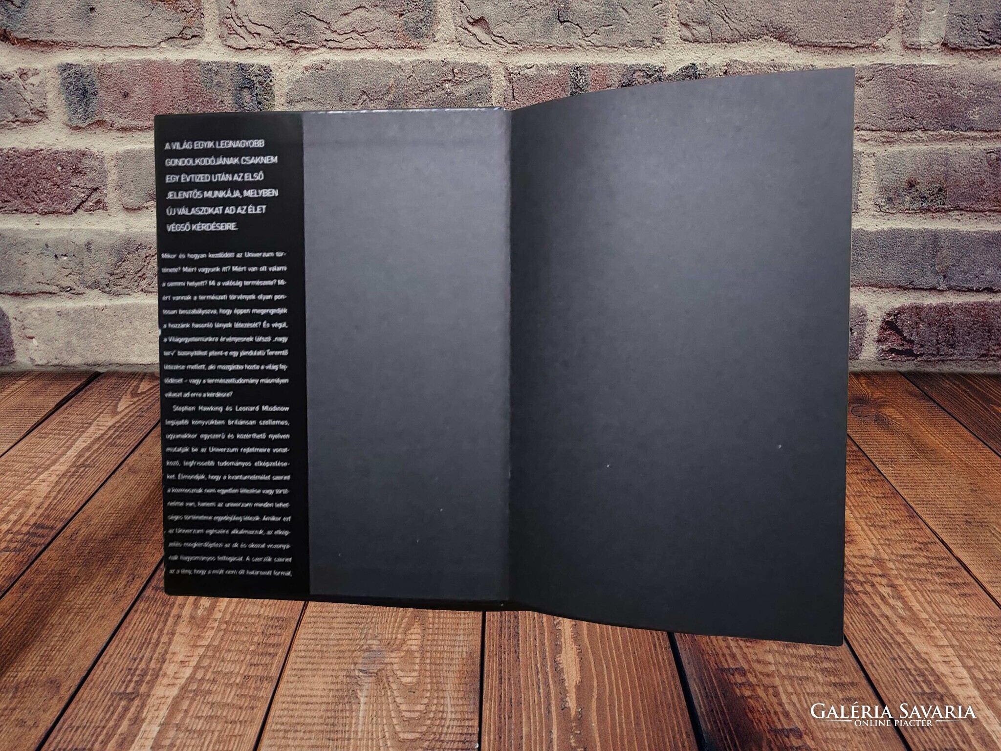 Stephen Hawking - A nagy terv - Könyv | Galéria Savaria online piactér ...