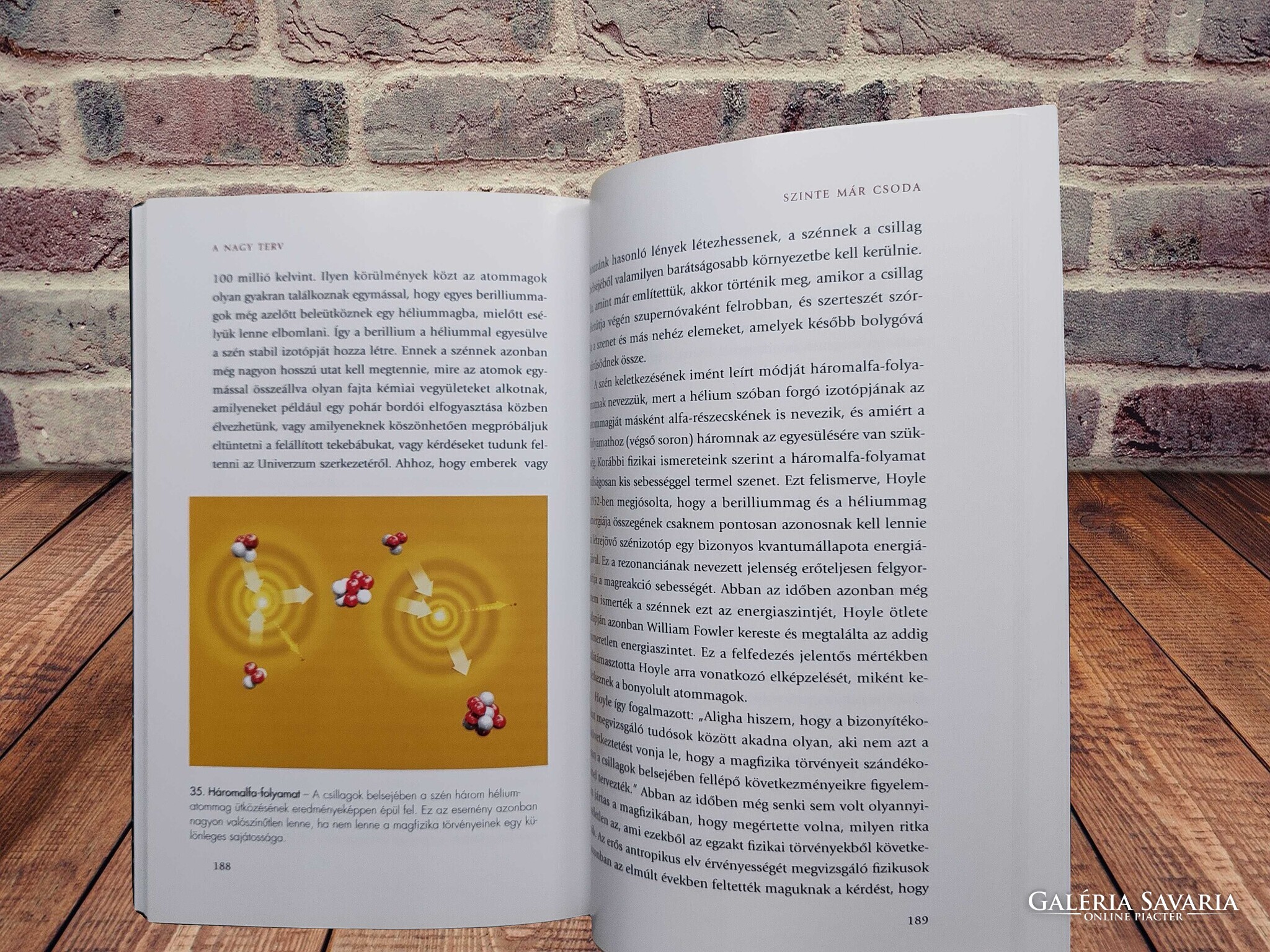 Stephen Hawking - A nagy terv - Könyv | Galéria Savaria online piactér ...