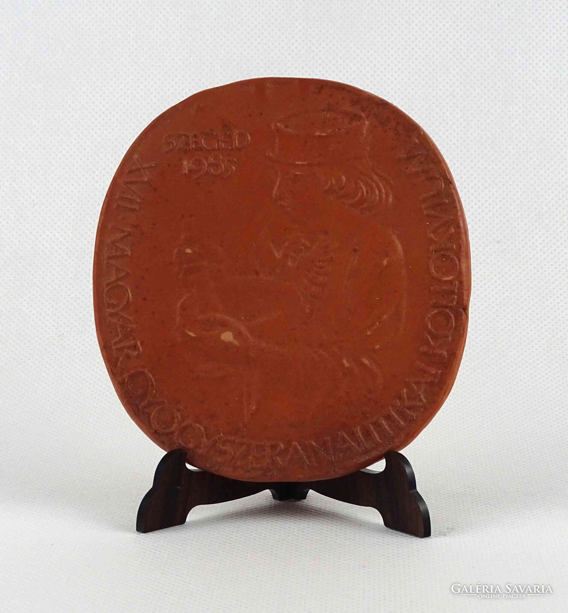 1Y467 XVII. Magyar Gyógyszeranalitikai Kollokvium Szeged 1985 kerámia ...