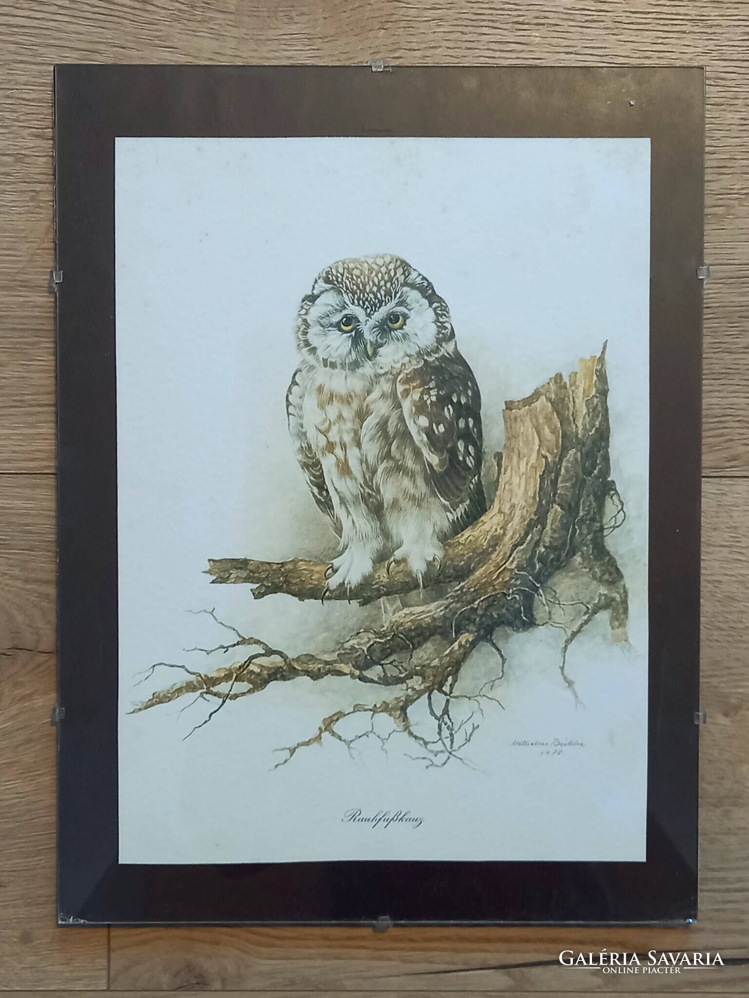 2 db madár témájú üvegezett falikép, rajz, nyomat - Kép, grafika ...