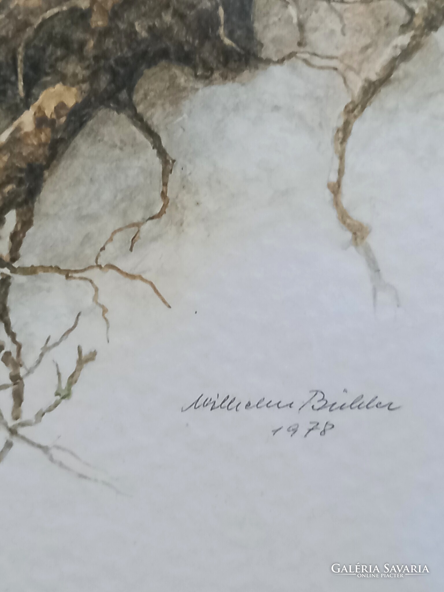 2 db madár témájú üvegezett falikép, rajz, nyomat - Kép, grafika ...