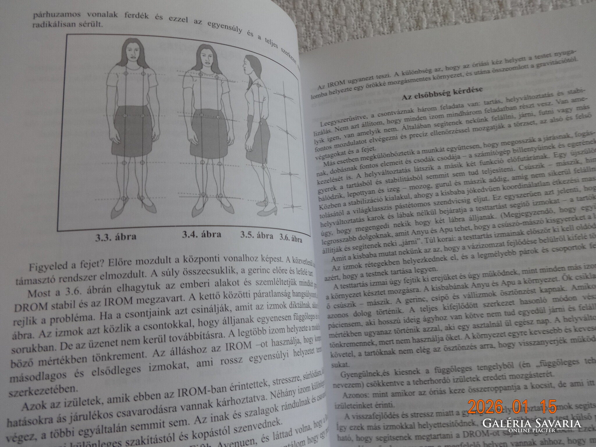 Pete Egoscue: Fájdalom nélkül a computer mellett - Könyv | Galéria ...