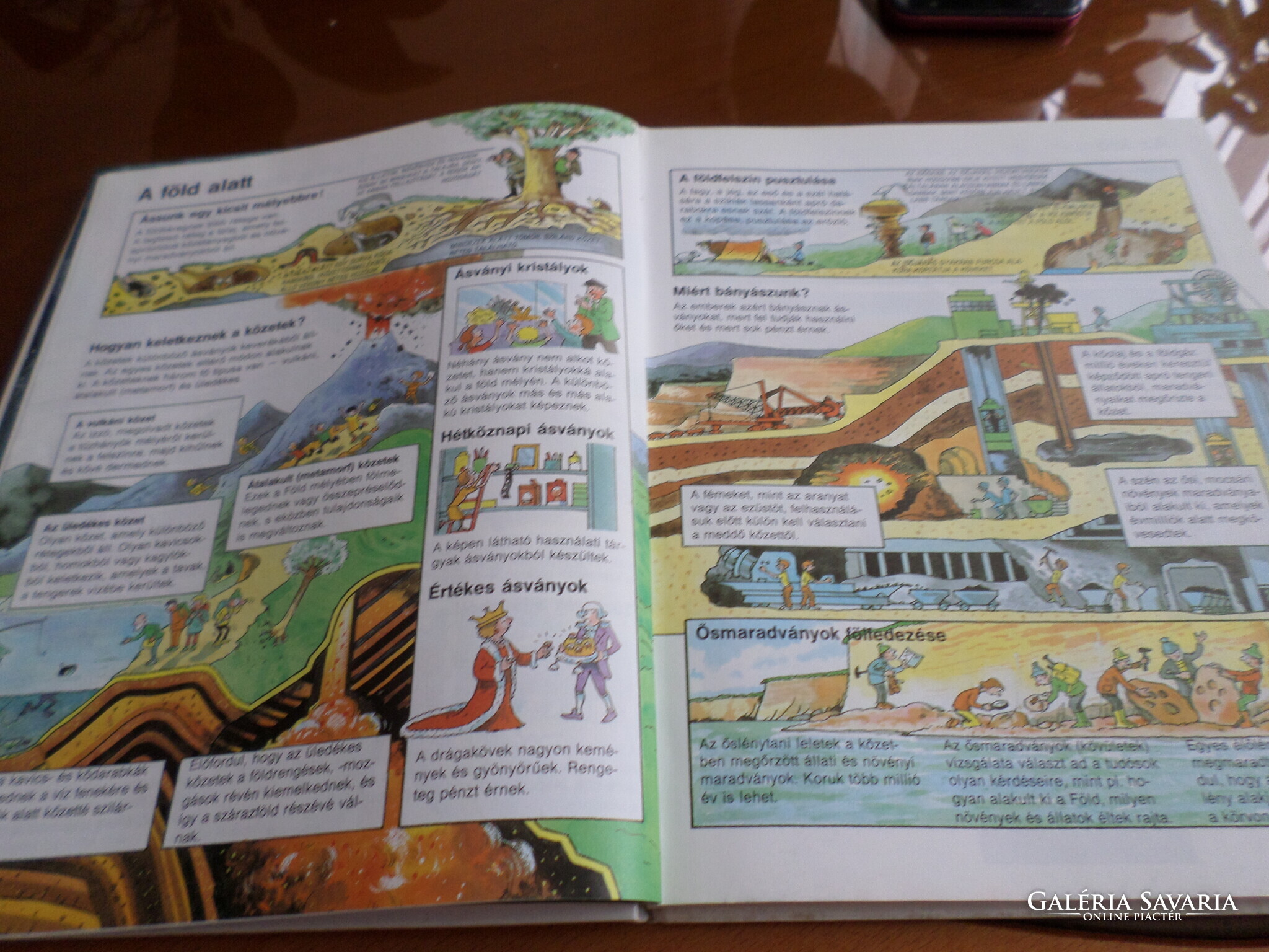 USBORNE ENCIKLOPÉDIA GYERMEKEKNEK Jane Elliott és Colin King Susan ...