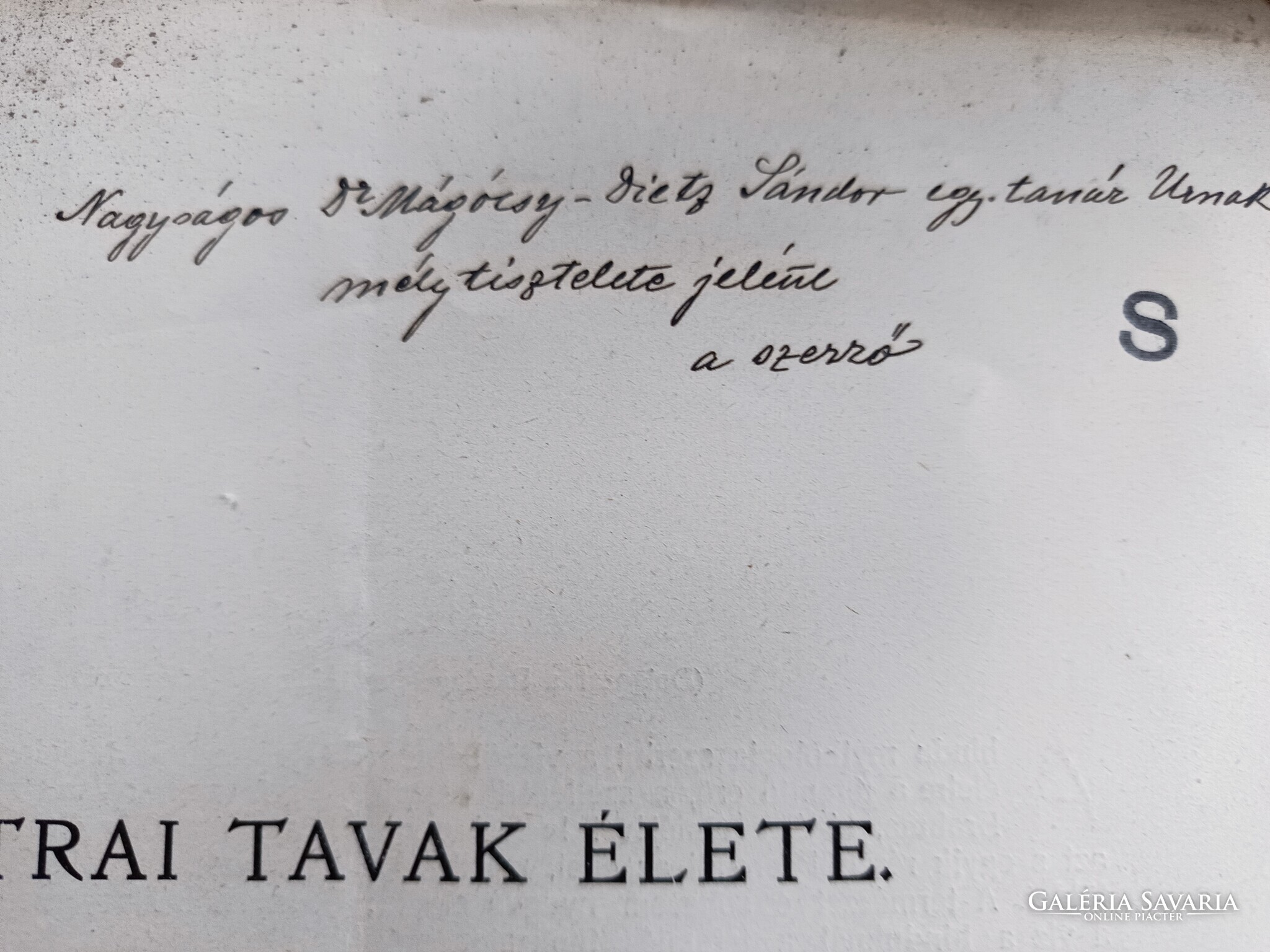 QUINT JÓZSEF A TÁTRAI TAVAK ÉLETE 1906. Dedikált!!!! - Könyv | Galéria ...